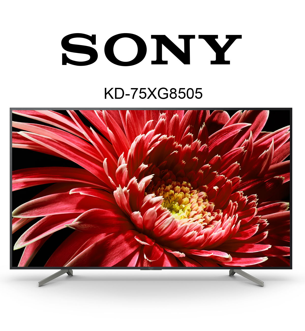 Im Test: Sony Bravia KD-75XG8596 / KD-75XG8505 - Produkttest24.com ...